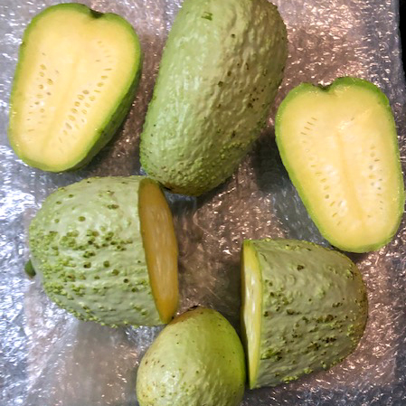 Products – Murambi Tropical Farm Produce